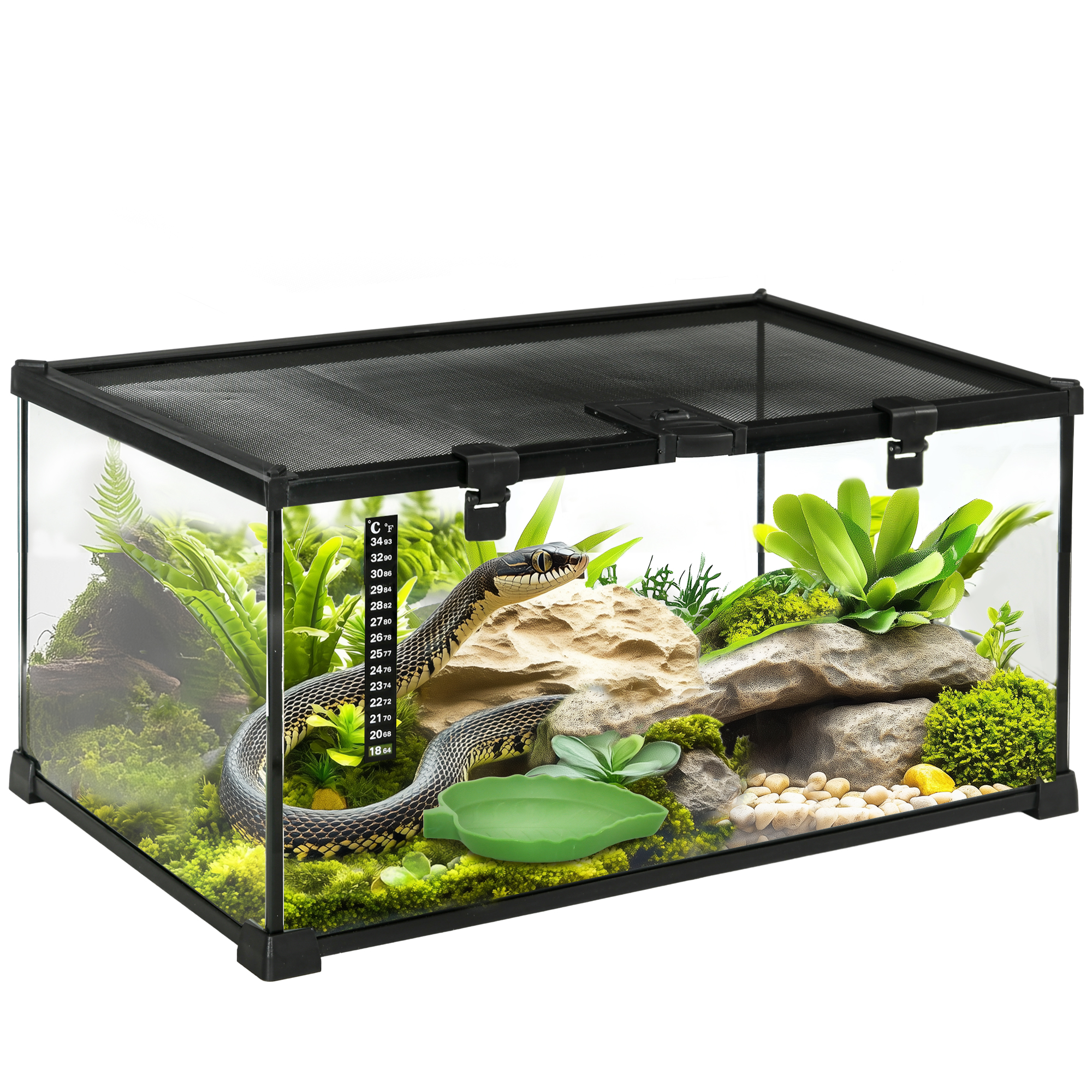 Glass Reptile Terrarium Insect Breeding Tank Vivarium Habitats with ...