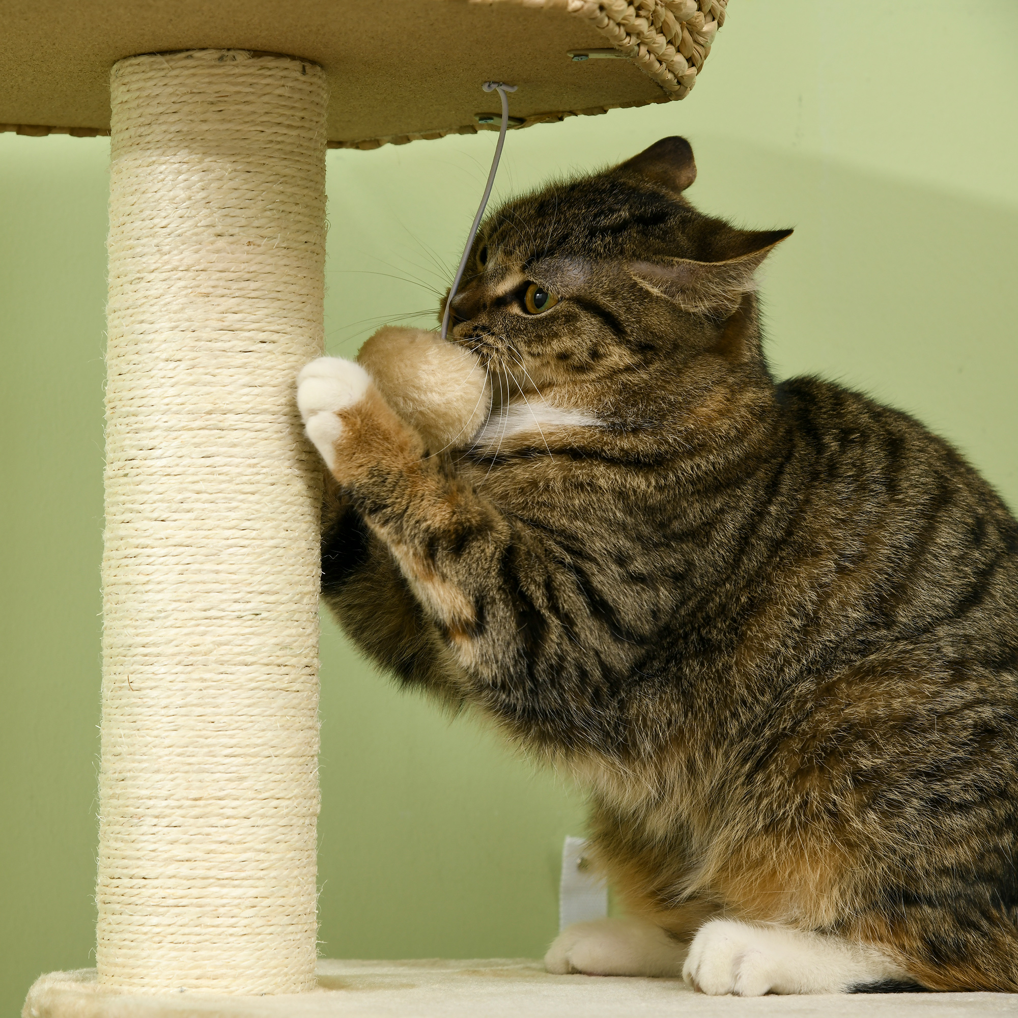 Cat Tree Activity Centre, with Cattail, Bed, Cat House, Sisal Post ...
