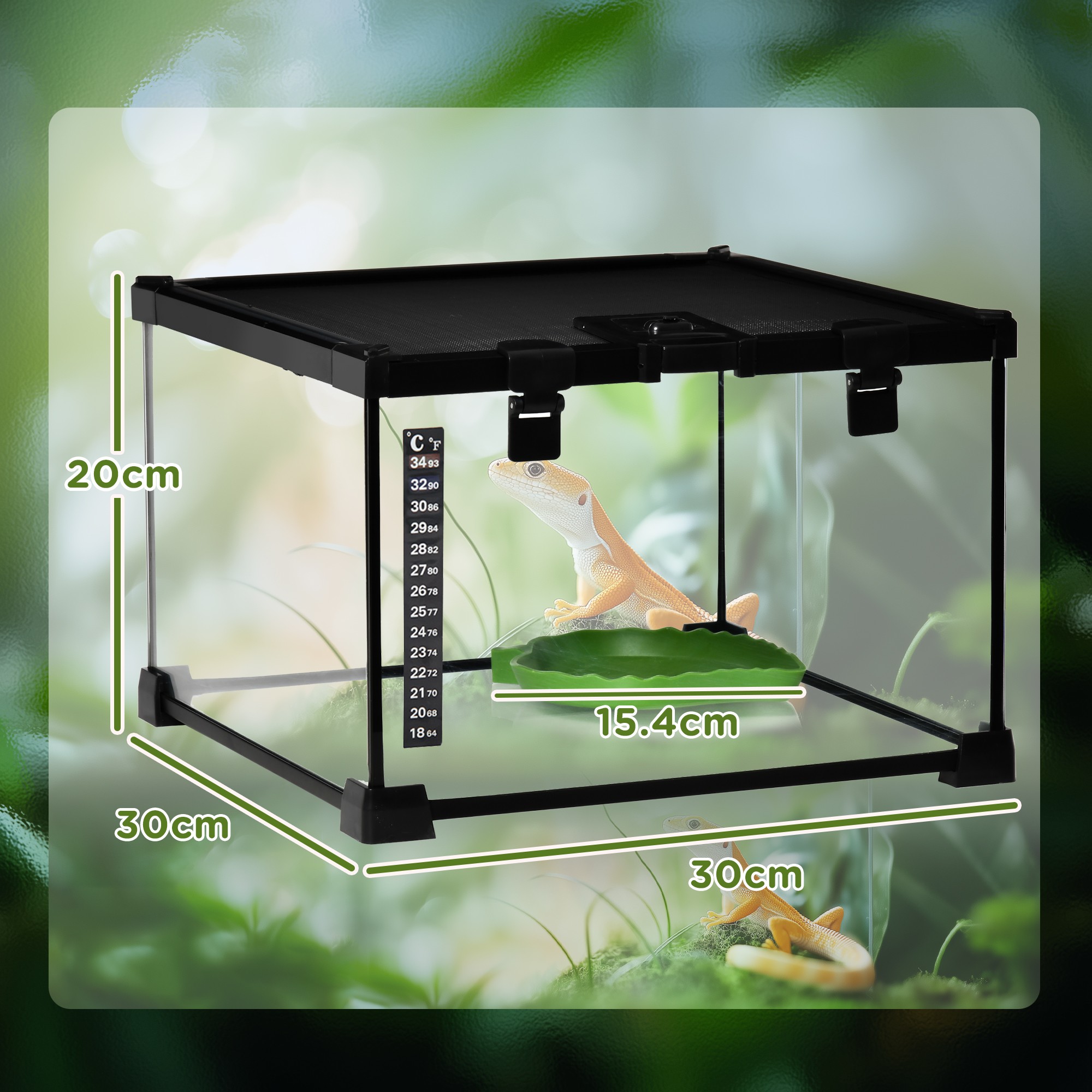 Glass Reptile Terrarium Insect Breeding Tank Vivarium Habitats with ...