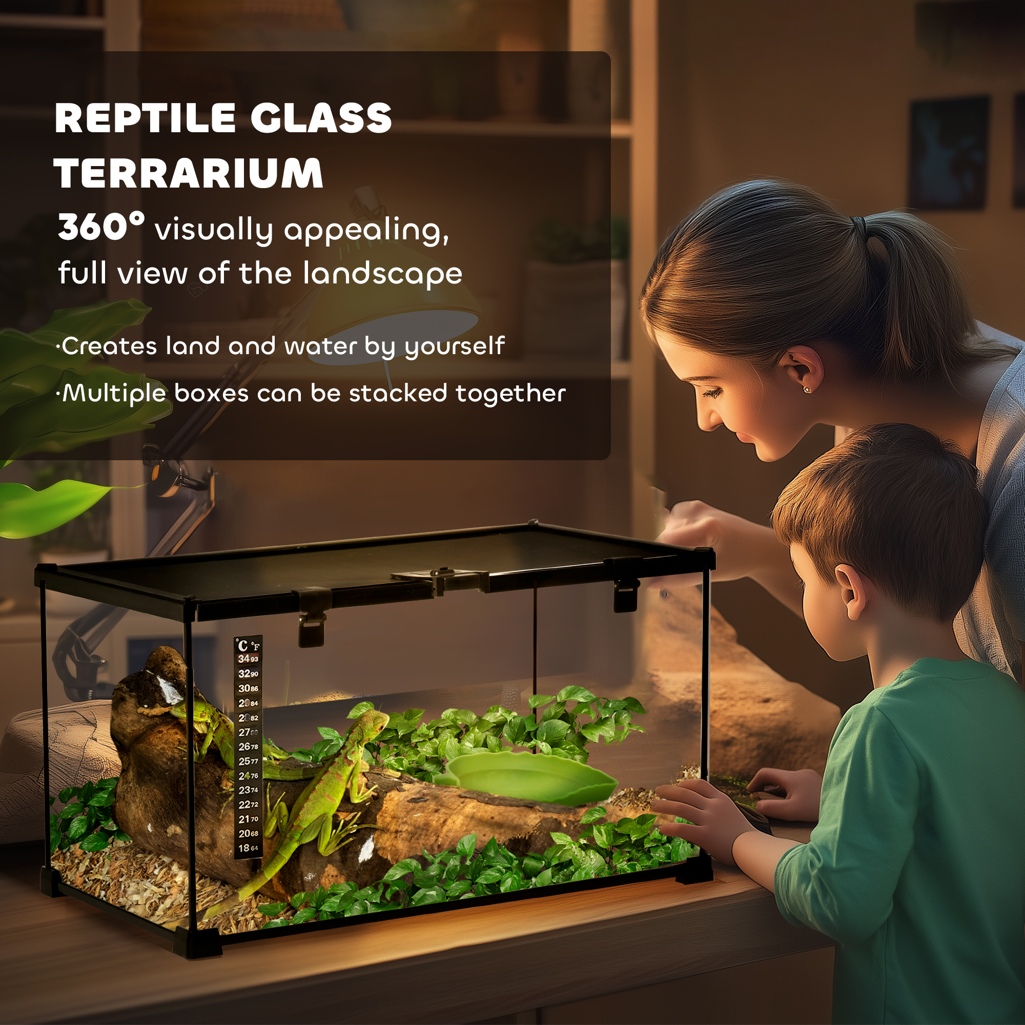 Glass Reptile Terrarium Insect Breeding Tank Vivarium Habitats with ...