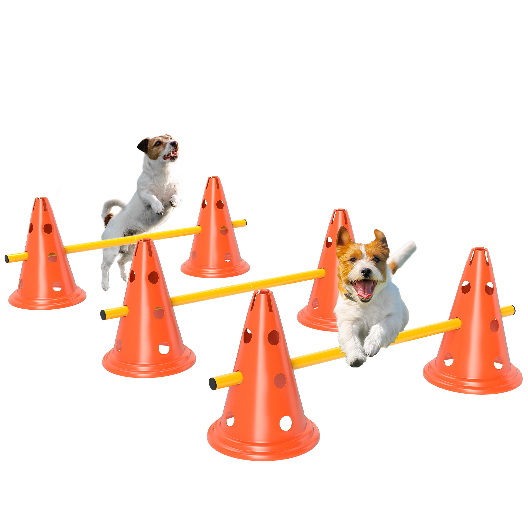 Dog Agility Equipment Set of Six Cones, Six Poles with Carry Bag, Three ...